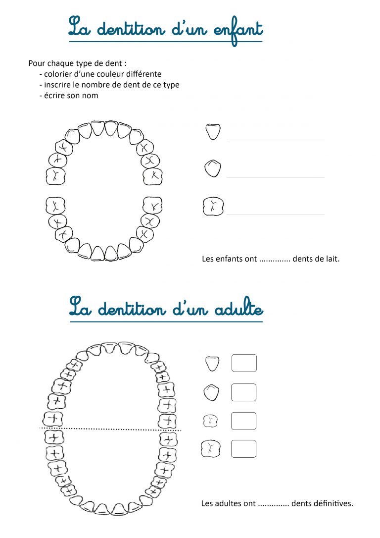 Les dents - Les activités de maman