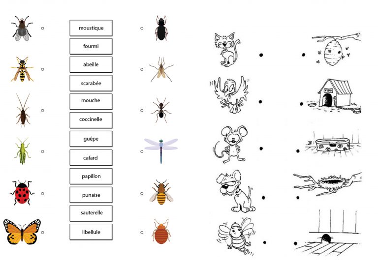 Autour des animaux - Les activités de maman