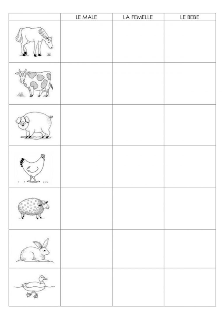 Autour des animaux - Les activités de maman