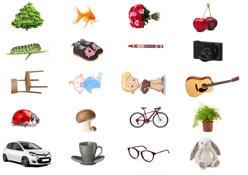 Vivant ou non-vivant - Les activités de maman