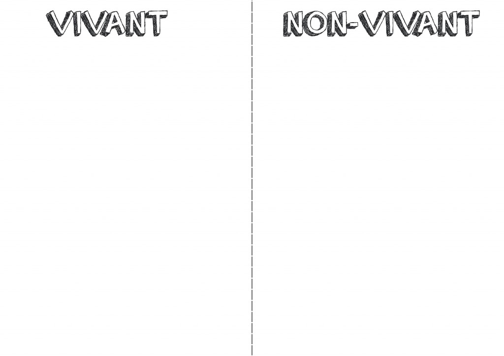 Vivant ou non-vivant - Les activités de maman