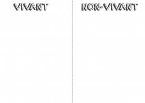 Vivant ou non-vivant - Les activités de maman